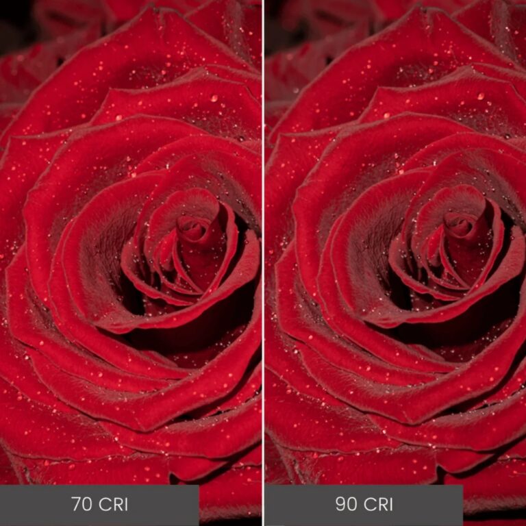 Radiant Pure LED Light - Q-Optics